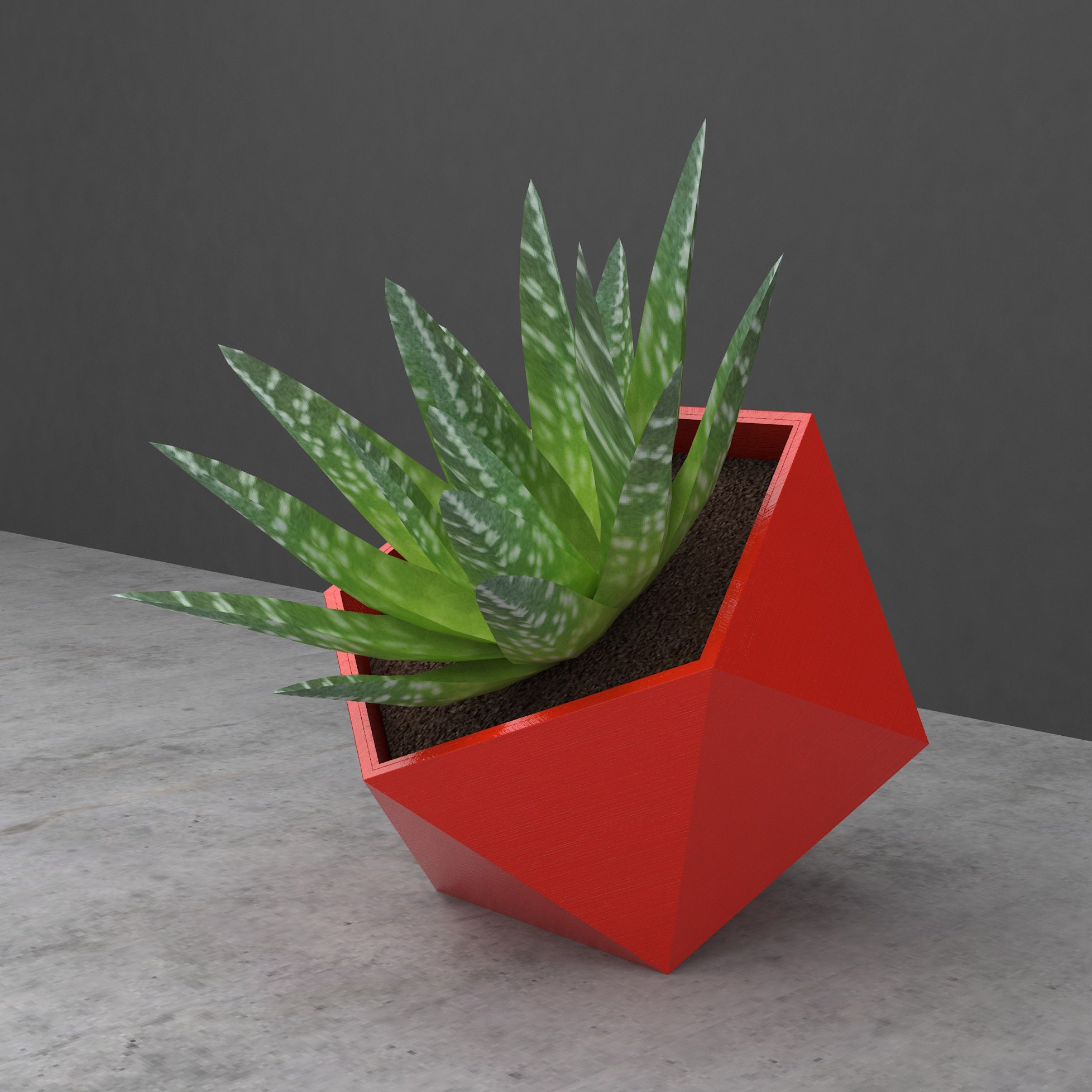 Geometric Planter Ideal for Succulents Cacti and Other Small | Etsy