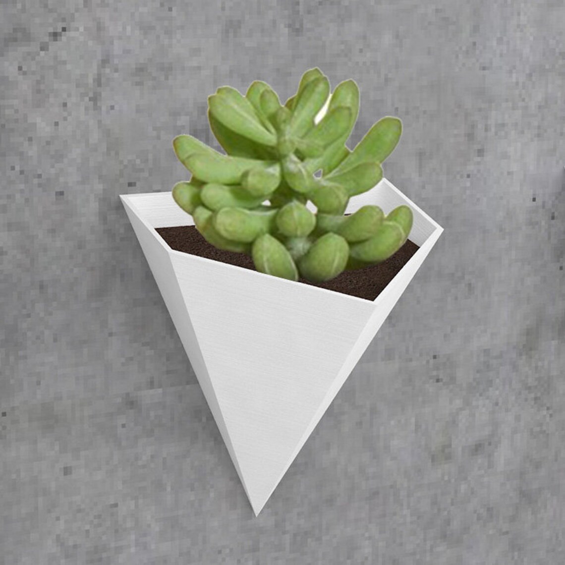 Triangular wall planter ideal for succulents cacti and | Etsy