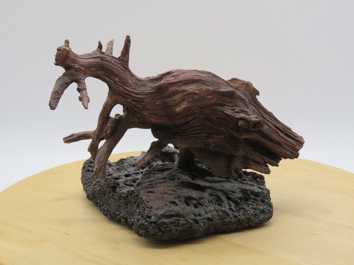 Root Root Art Root Sculpture Forest Find Unique on Stone Slab - Etsy