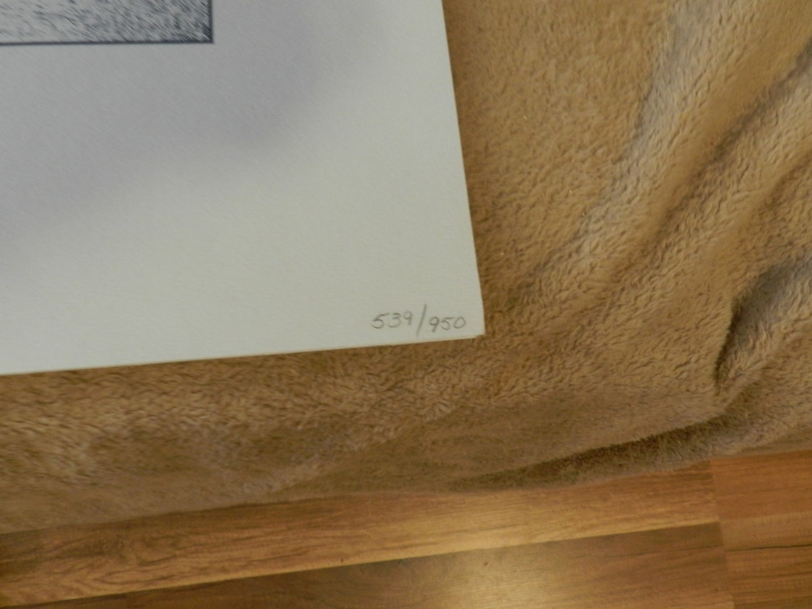 Dream Fields by Ward H. Nichols. Hand Signed and numbered | Etsy