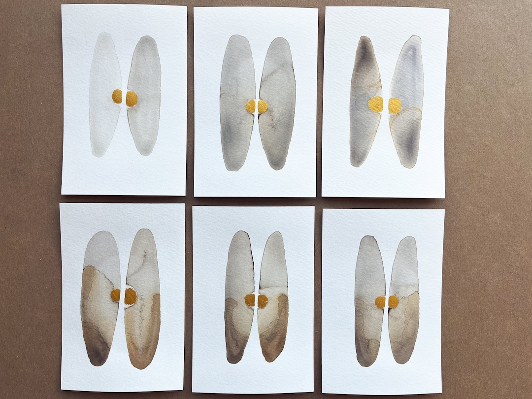 Set of 6 Cards: 2 Standing Shapes - Hinged, Oak Gall Ink and Gold - Etsy