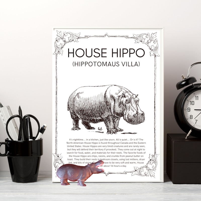 House Hippo Unique - Etsy