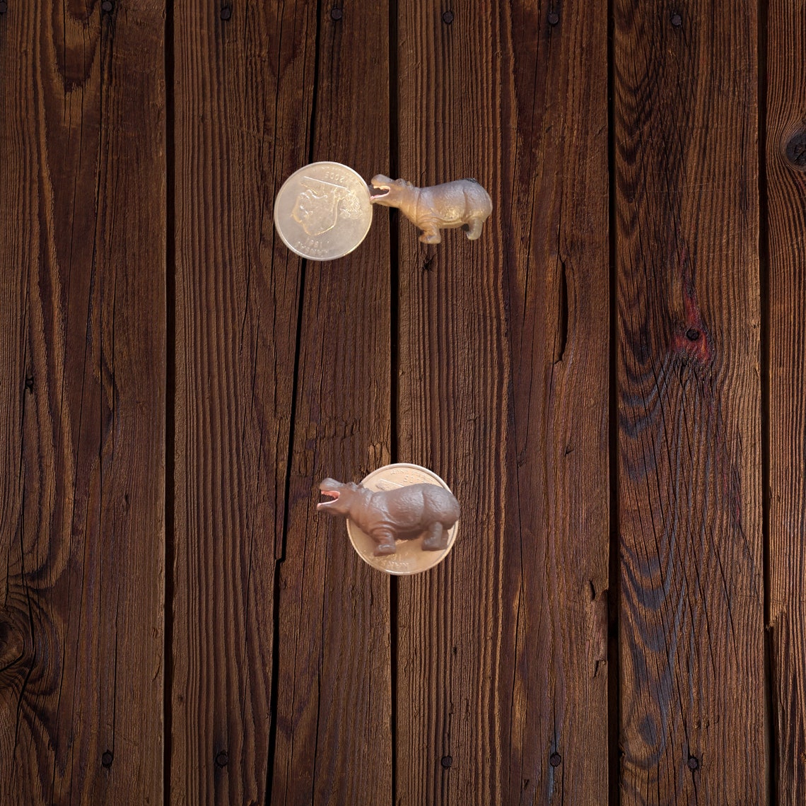 Quirky House Hippo Figurine - A Unique Gift for the Hippo Lover in Your ...