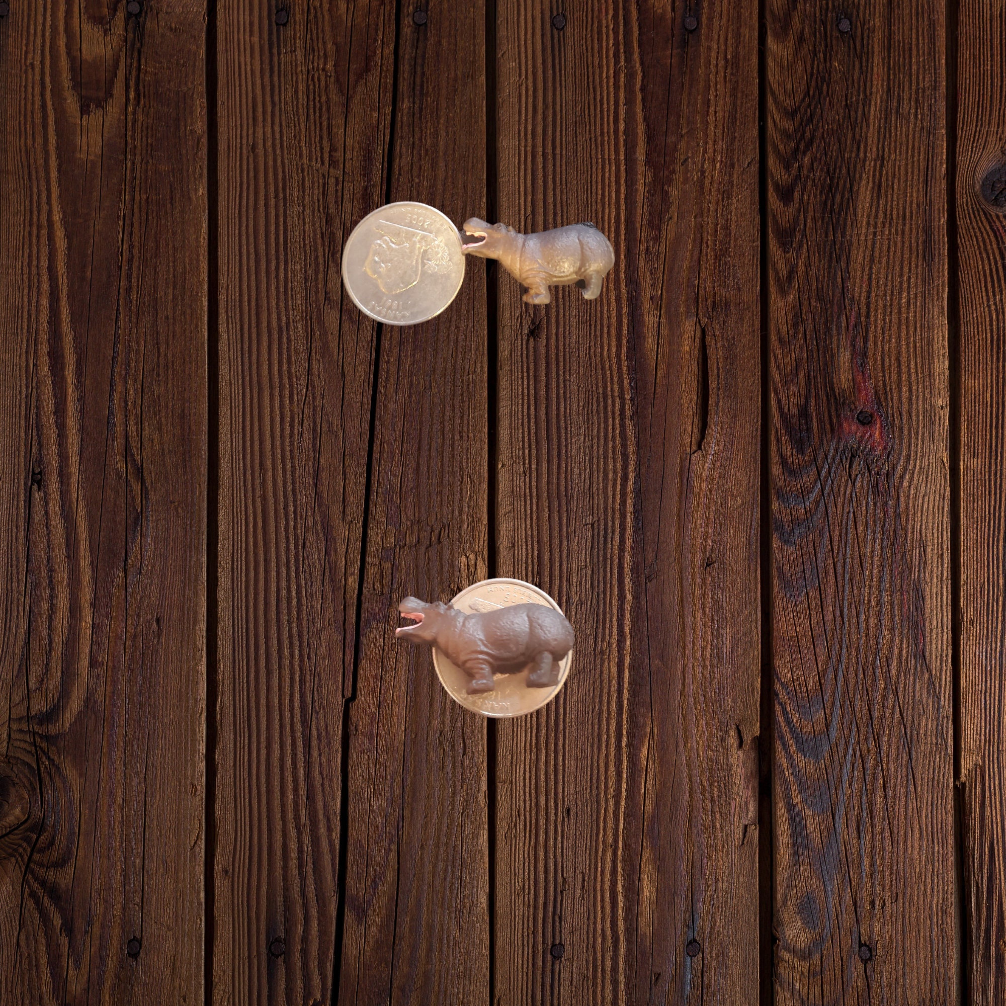 Quirky House Hippo Figurine - A Unique Gift for the Hippo Lover in Your ...