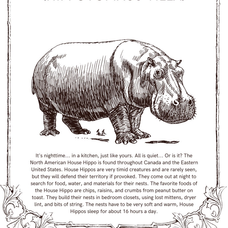 Quirky House Hippo Figurine - A Unique Gift for the Hippo Lover in Your ...