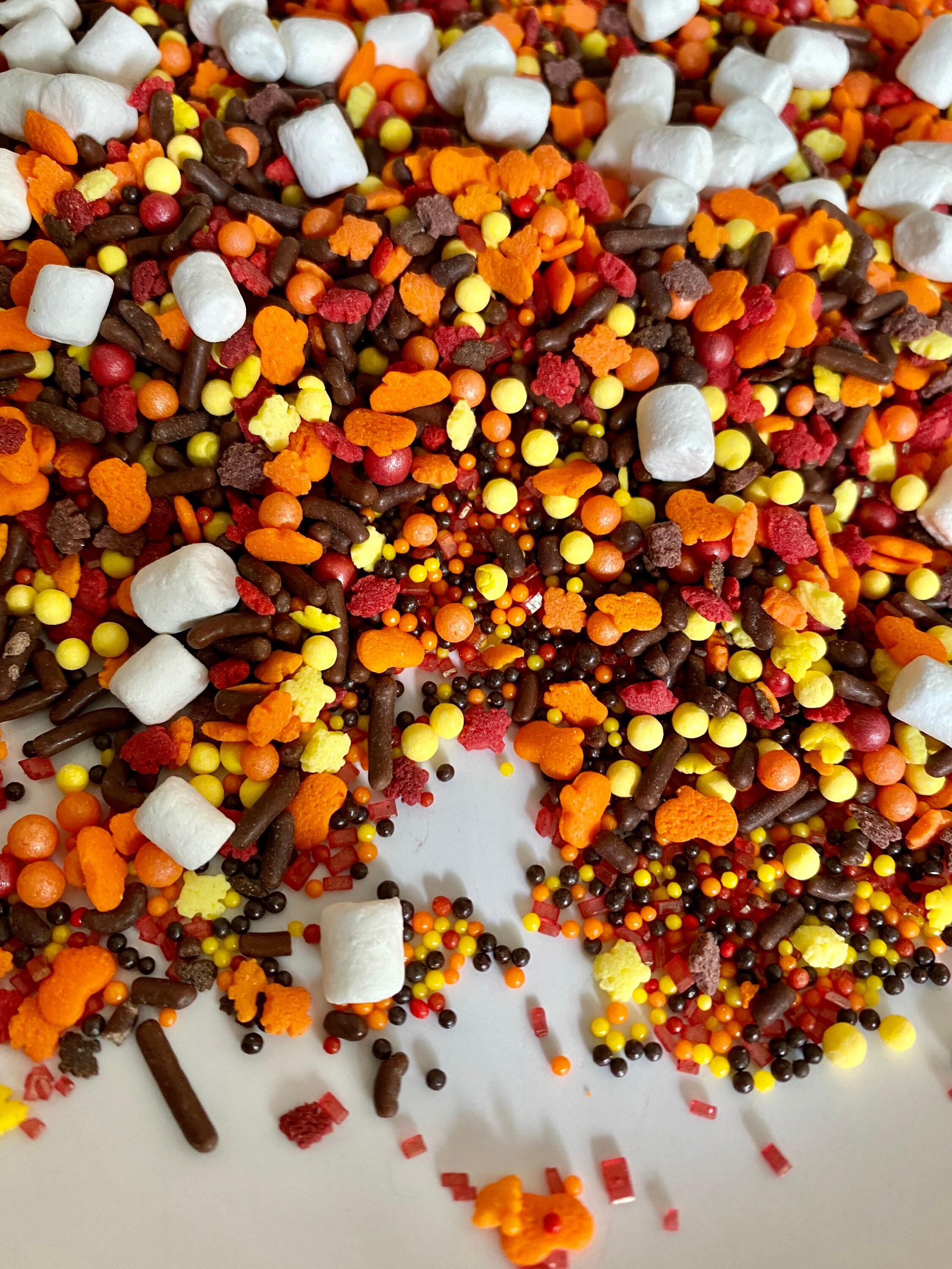 Autumn Cocoa Hot Cocoa Bombs Hot Chocolate Topping Edible - Etsy