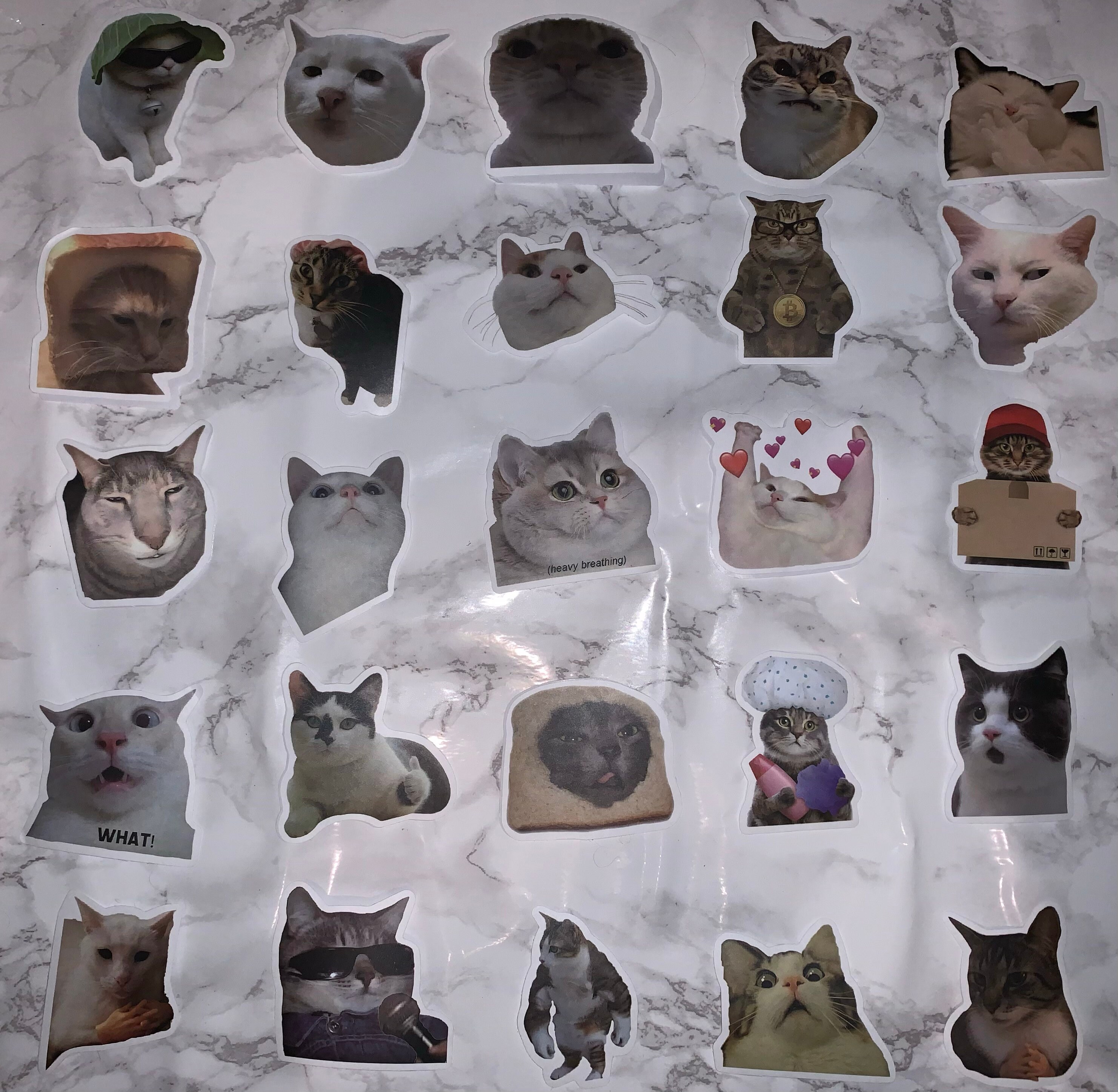 Funny Cat Meme Stickers 5-20 Pc Funny Internet Cat Stickers - Etsy