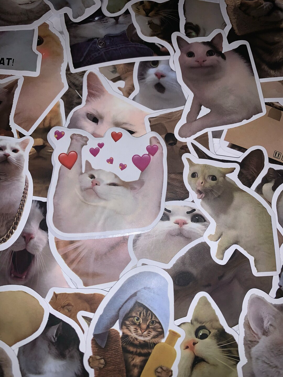 Funny Cat Meme Stickers 5-20 Pc Funny Internet Cat Stickers - Etsy