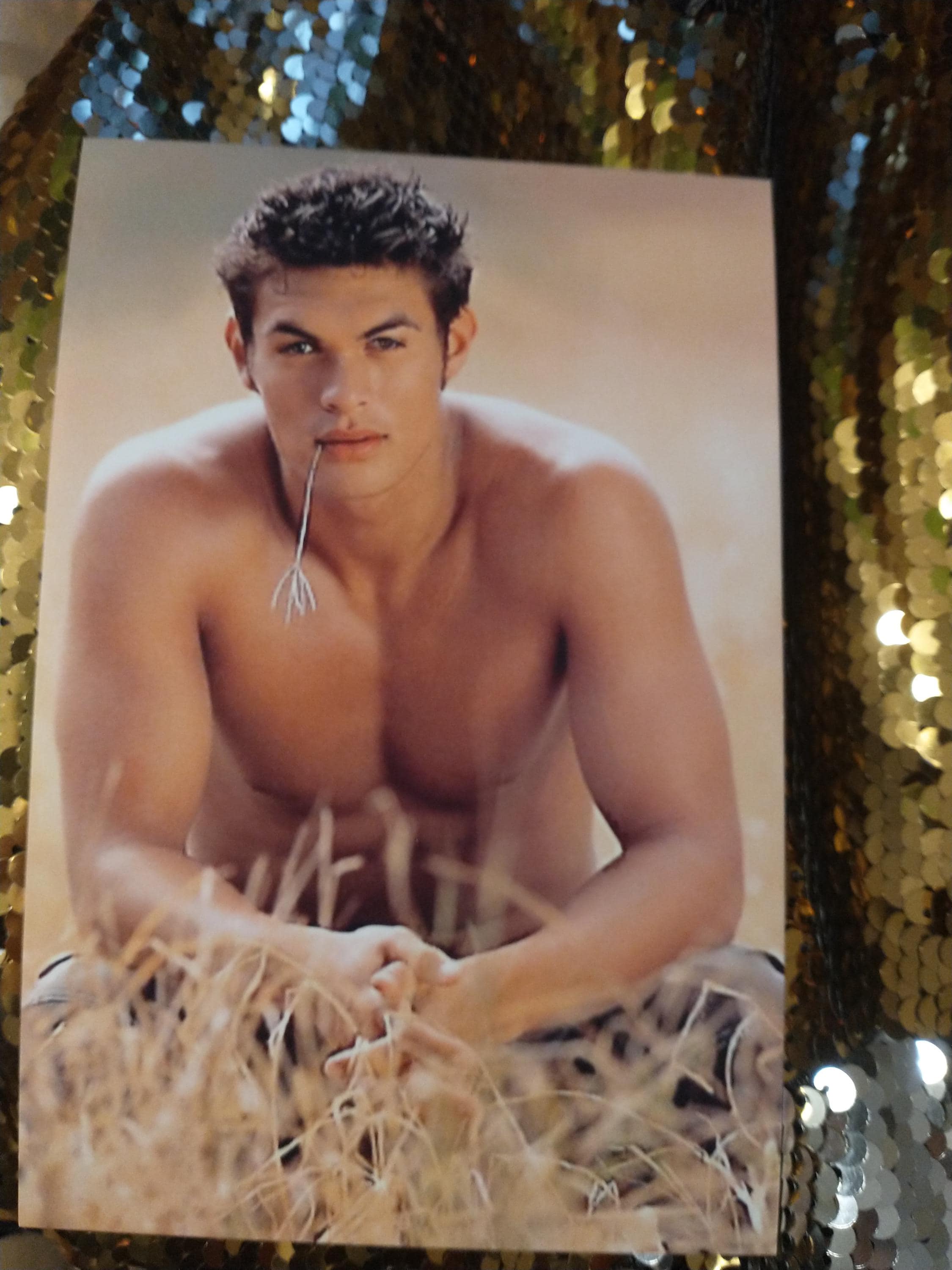 Fire Island Sun Bathing Bodybuilder Muscle Guy Most Handsome Hunk Tall ...