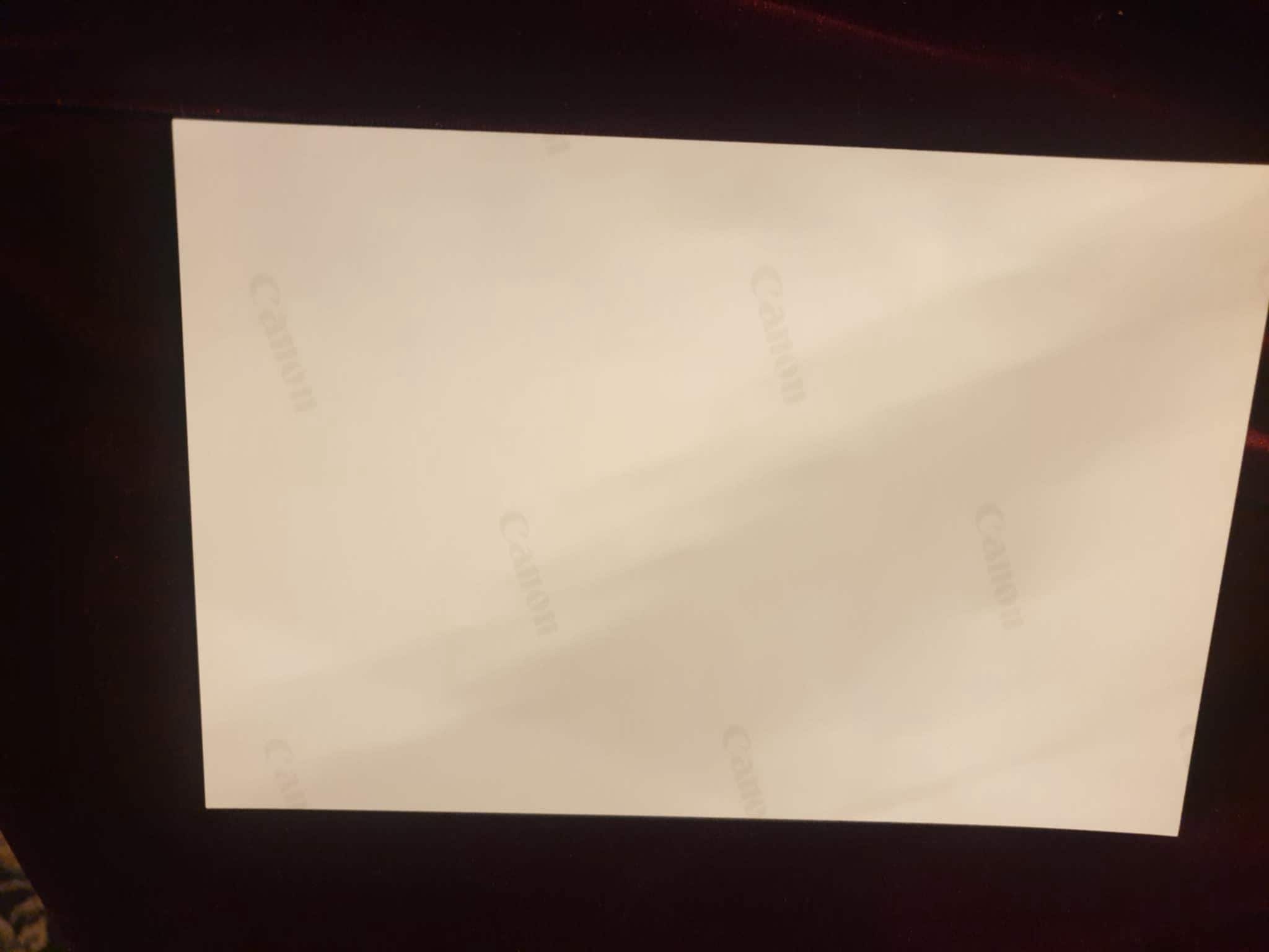 Fire Island Sun Bathing Bodybuilder Muscle Guy Most Handsome Hunk Tall ...