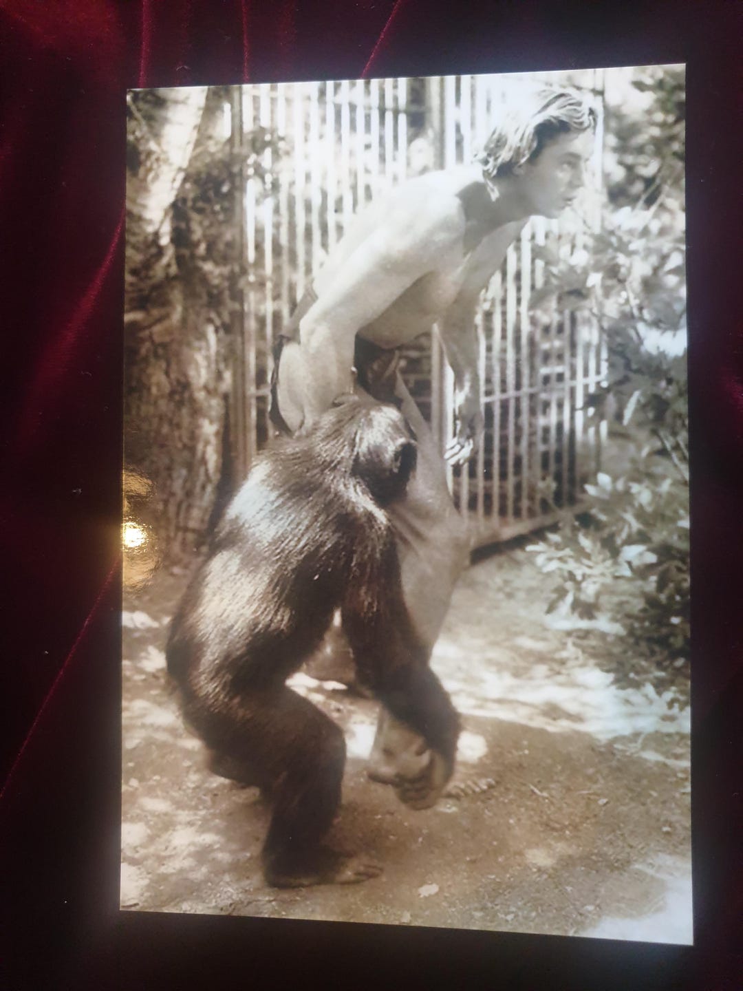 Vintage Photograph Printed in 1999 - Stunning Blond Male Most Handsome Man Steamy Hombre Foto ...