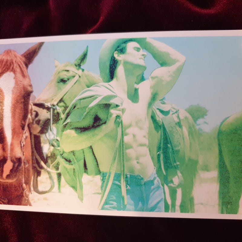 Shirtless Cowboys - Etsy