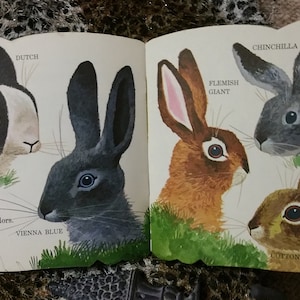 1965 the Bunny Book Vintage Children Kids - Etsy