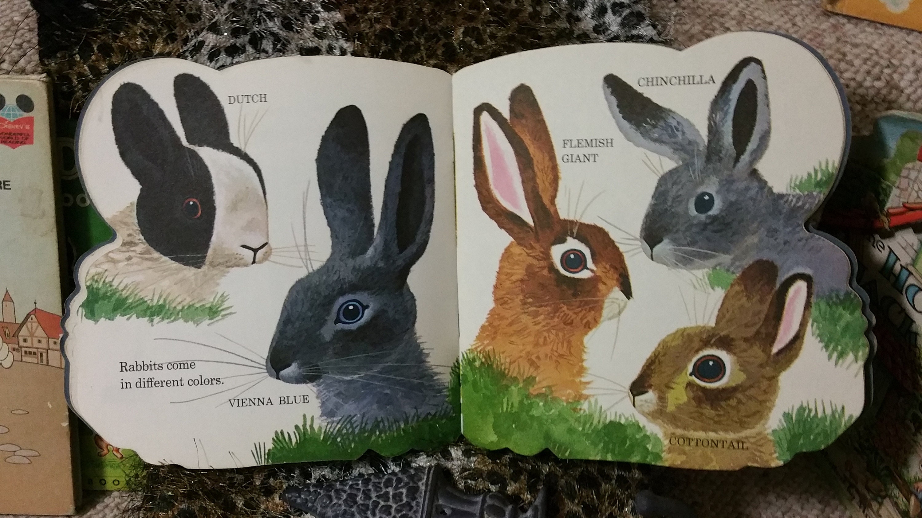 1965 the Bunny Book Vintage Children Kids - Etsy