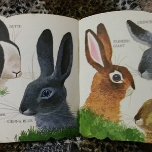 1965 the Bunny Book Vintage Children Kids - Etsy