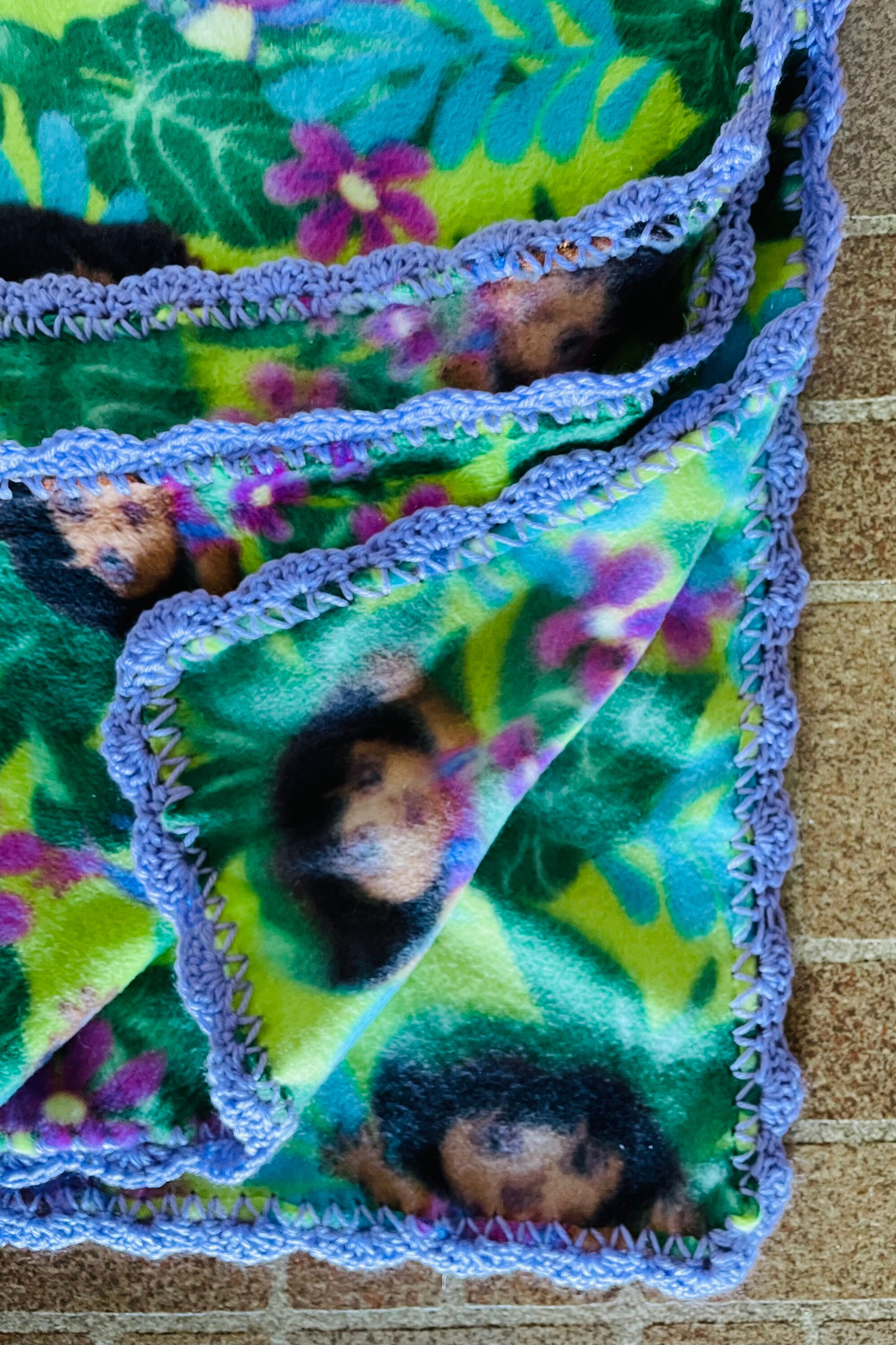 Dora the Explorer Fleece Baby Blanket With Scalloped Crocheted Edging ...