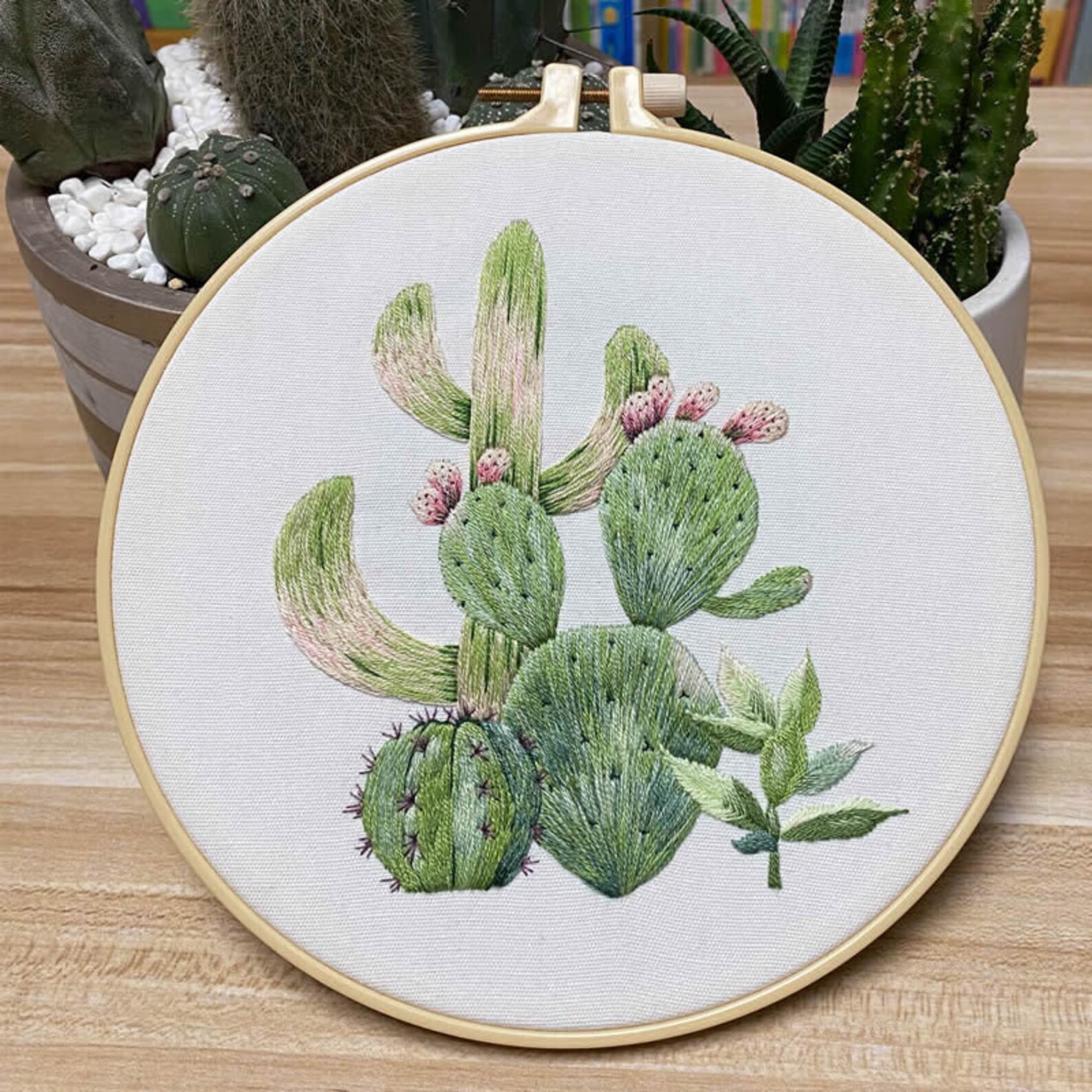 Plant Embroidery Kit for Beginners Modern|hand Cactus Cross Stitch ...