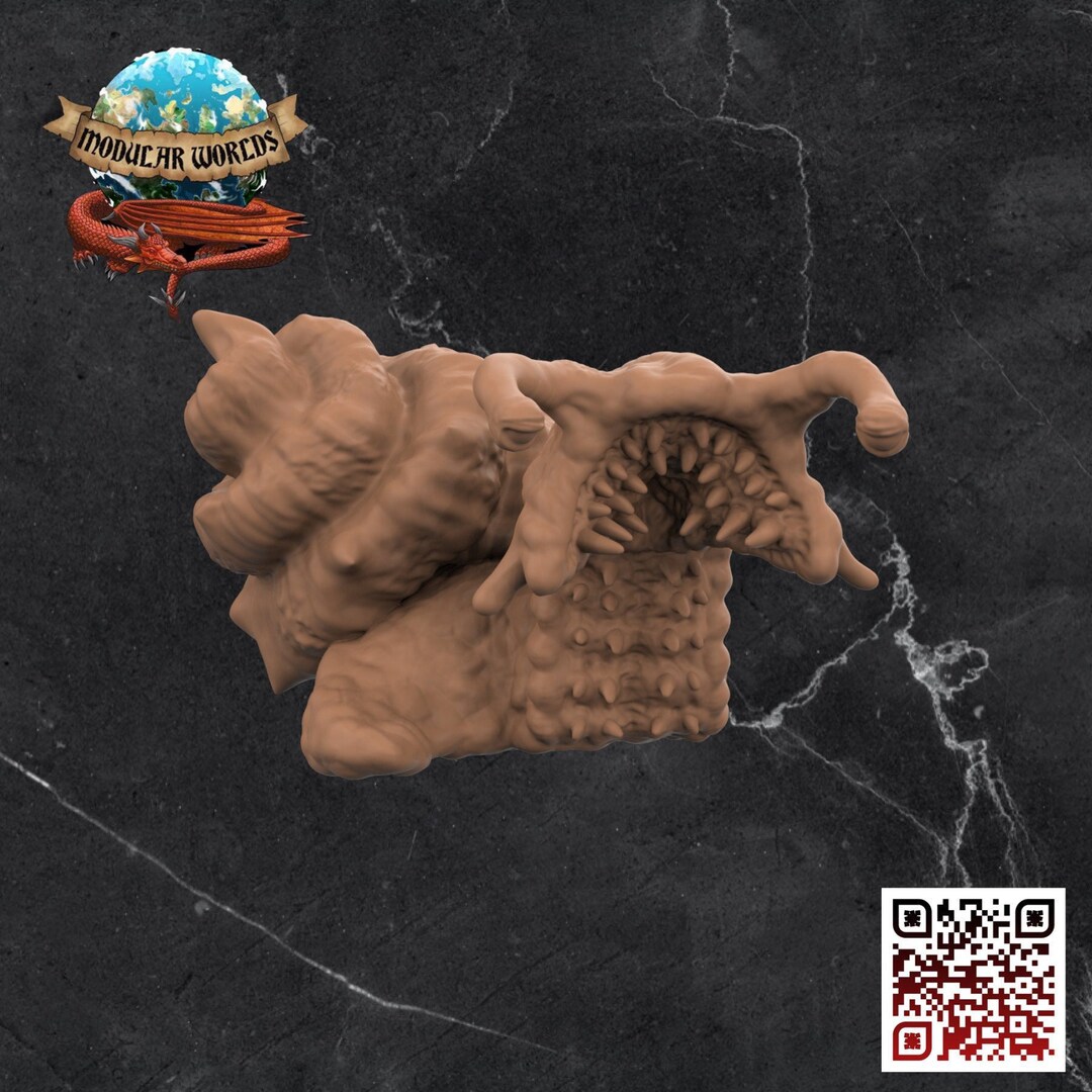 Giant Chiton Giant Snail - Etsy