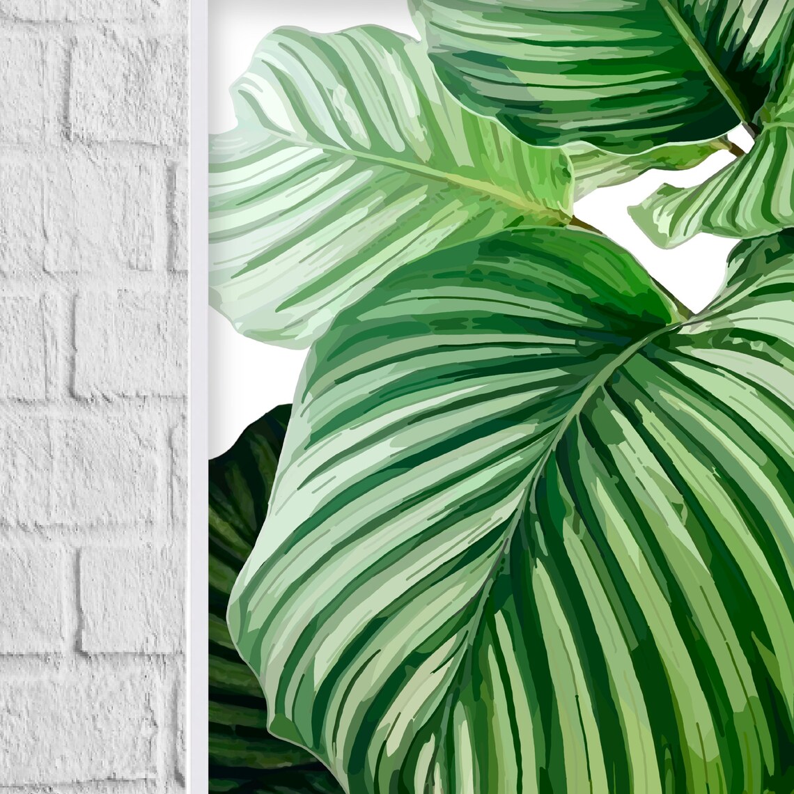 Calathea Orbifolia Digital Art, Botanical Art Print, Simple Form, Leaf ...