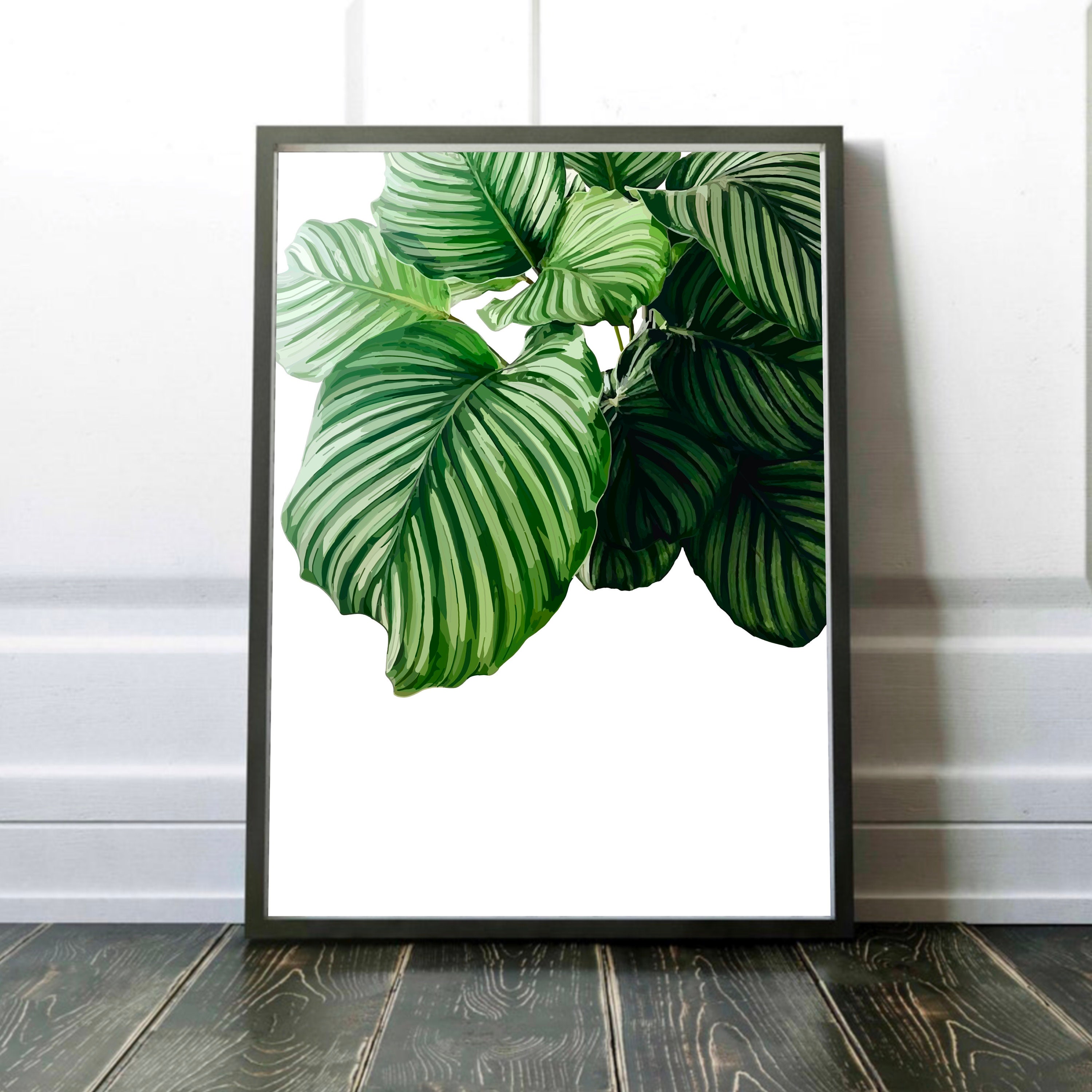 Calathea Orbifolia Digital Art, Botanical Art Print, Simple Form, Leaf ...