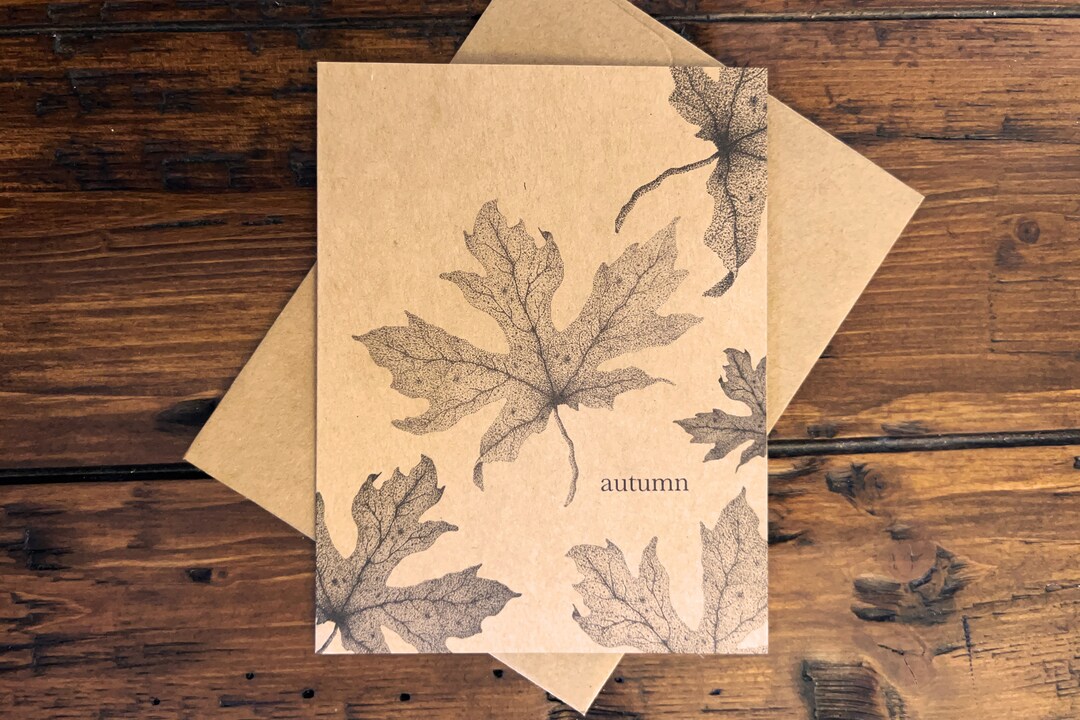 MAPLE LEAF ILLUSTRATION - Special Edition Autumn Maple Leaf Note Cards ...