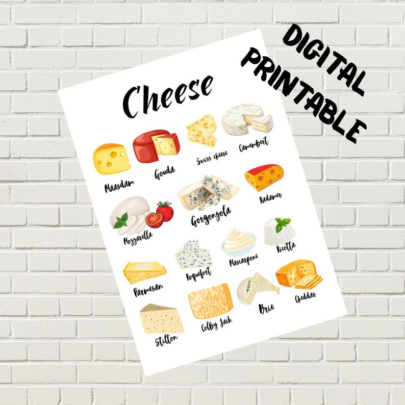 Types of Cheese Kitchen Wall Art Print. Cheese Illustration Print ...