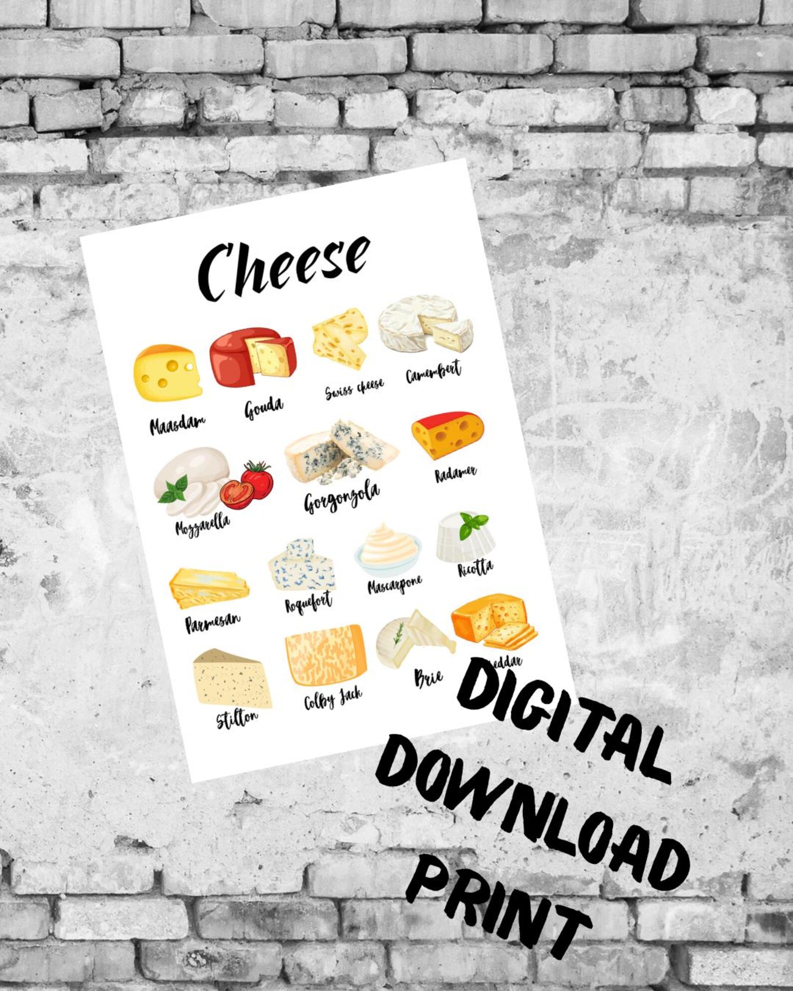 Types of Cheese Kitchen Wall Art Print. Cheese Illustration Print ...