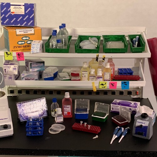 1/12 Scale Tissue Culture Lab Items for 3D Printing and - Etsy