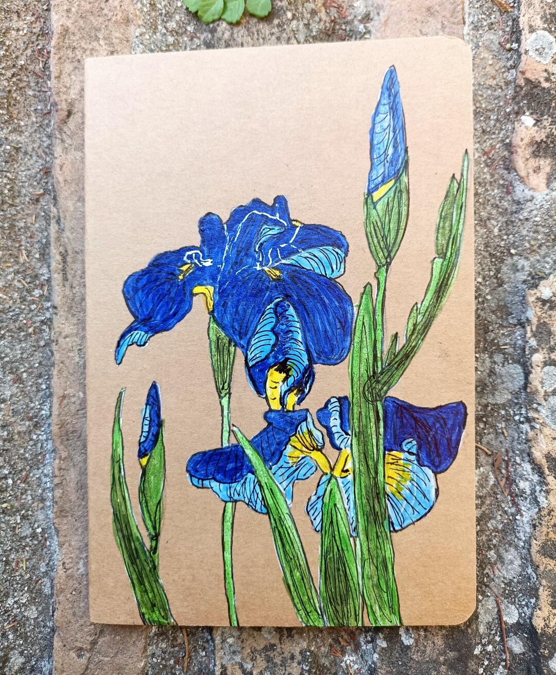 Handpainted Notebook,illustrated Sketchbok,lily Notepad,unlined,journal ...