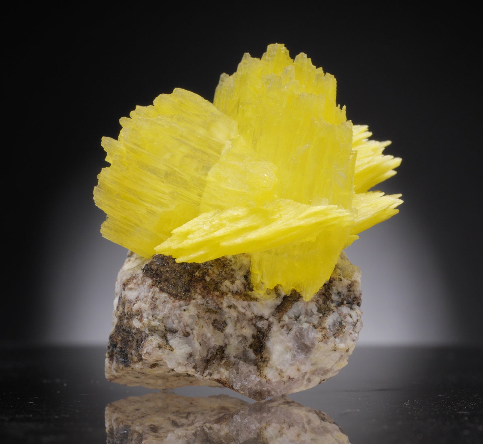 Arcanite Crystals on Matrix From Poland Yellow Like Wulfenite - Etsy