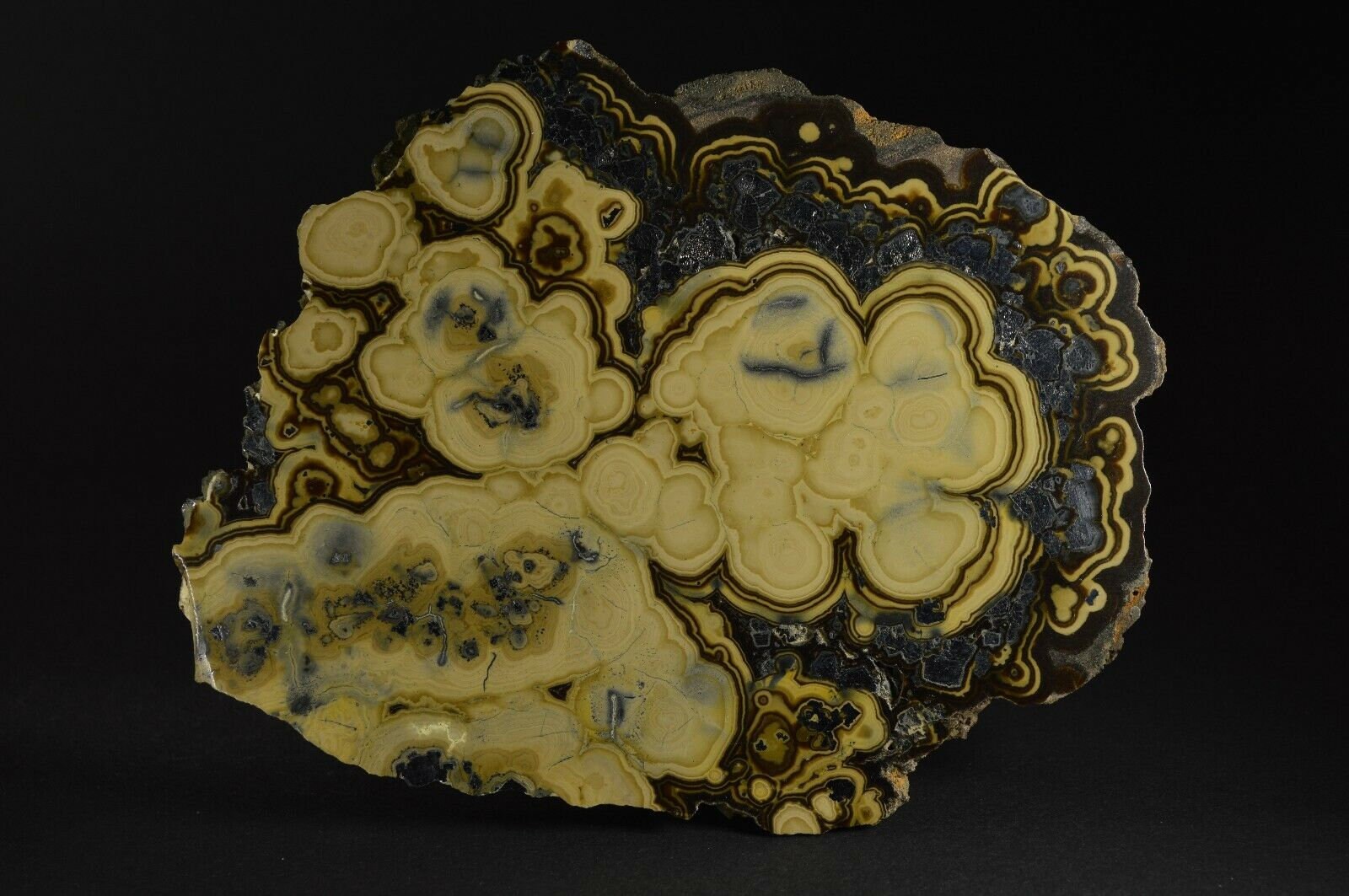 Schalenblende Galena Marcasite Zinkblende Wurtzite Slab Olkusz - Etsy