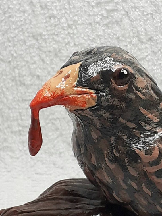 Vampire Finch