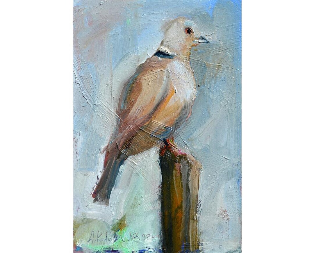 Dove Bird Painting, Original Oil Art Dove Wall Art. Modern Art Animals ...