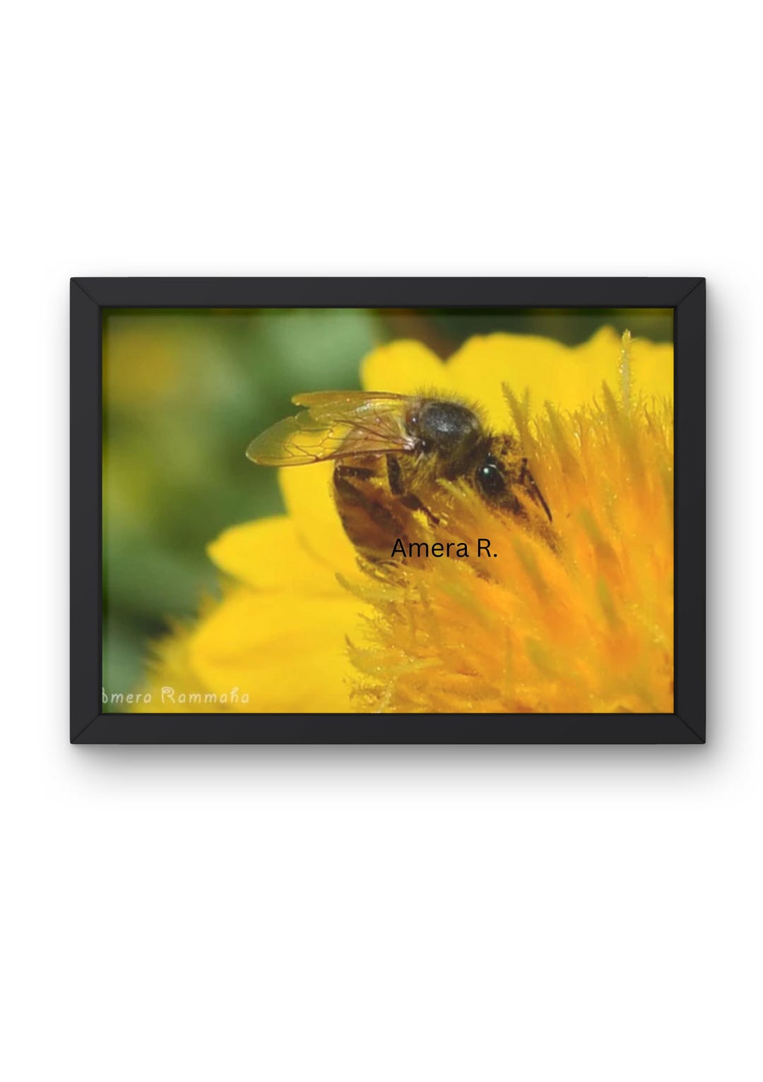 Printable Wall Art Sunflower With Bee - Etsy