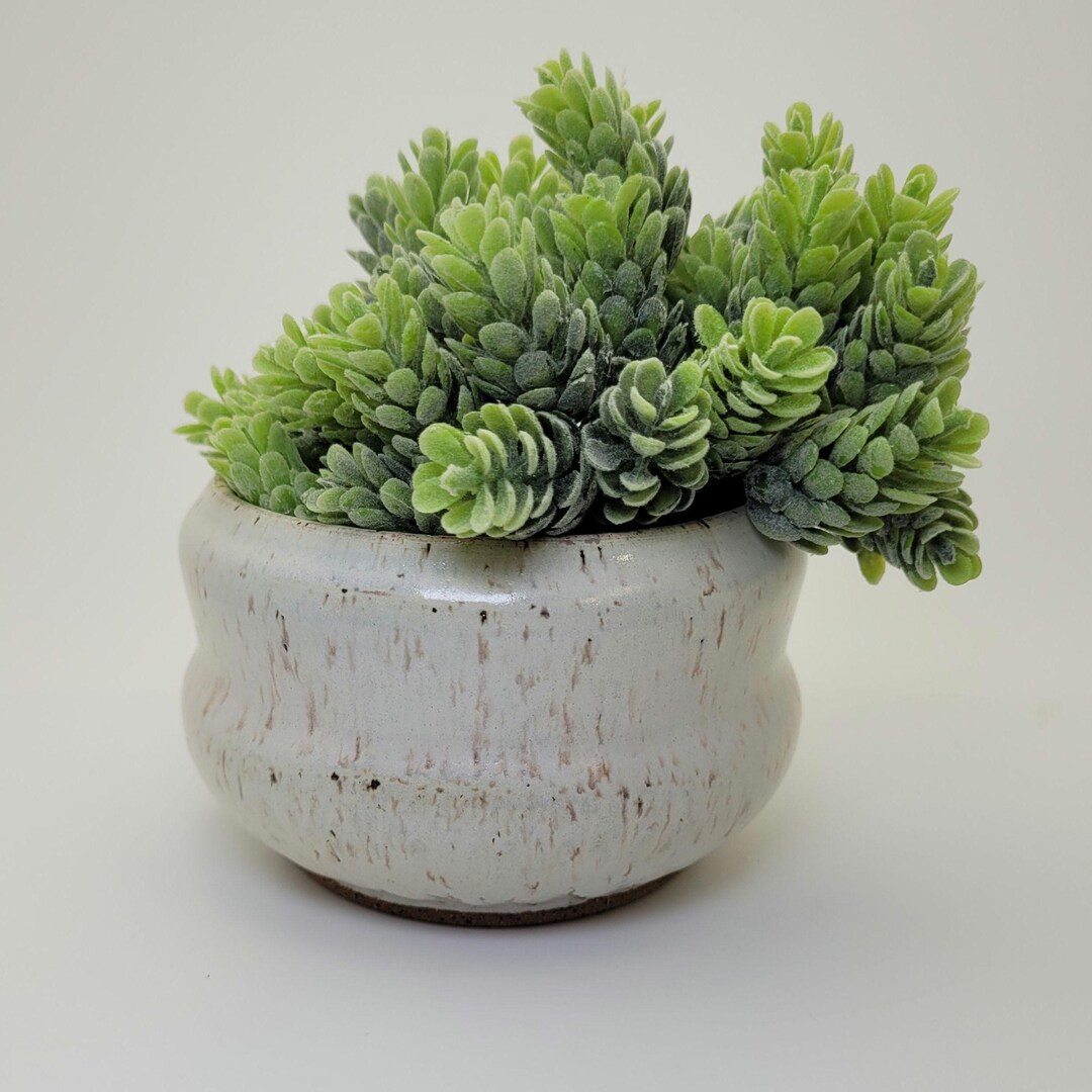 2 Inch Minimalist Ceramic Planter in Cream - Etsy