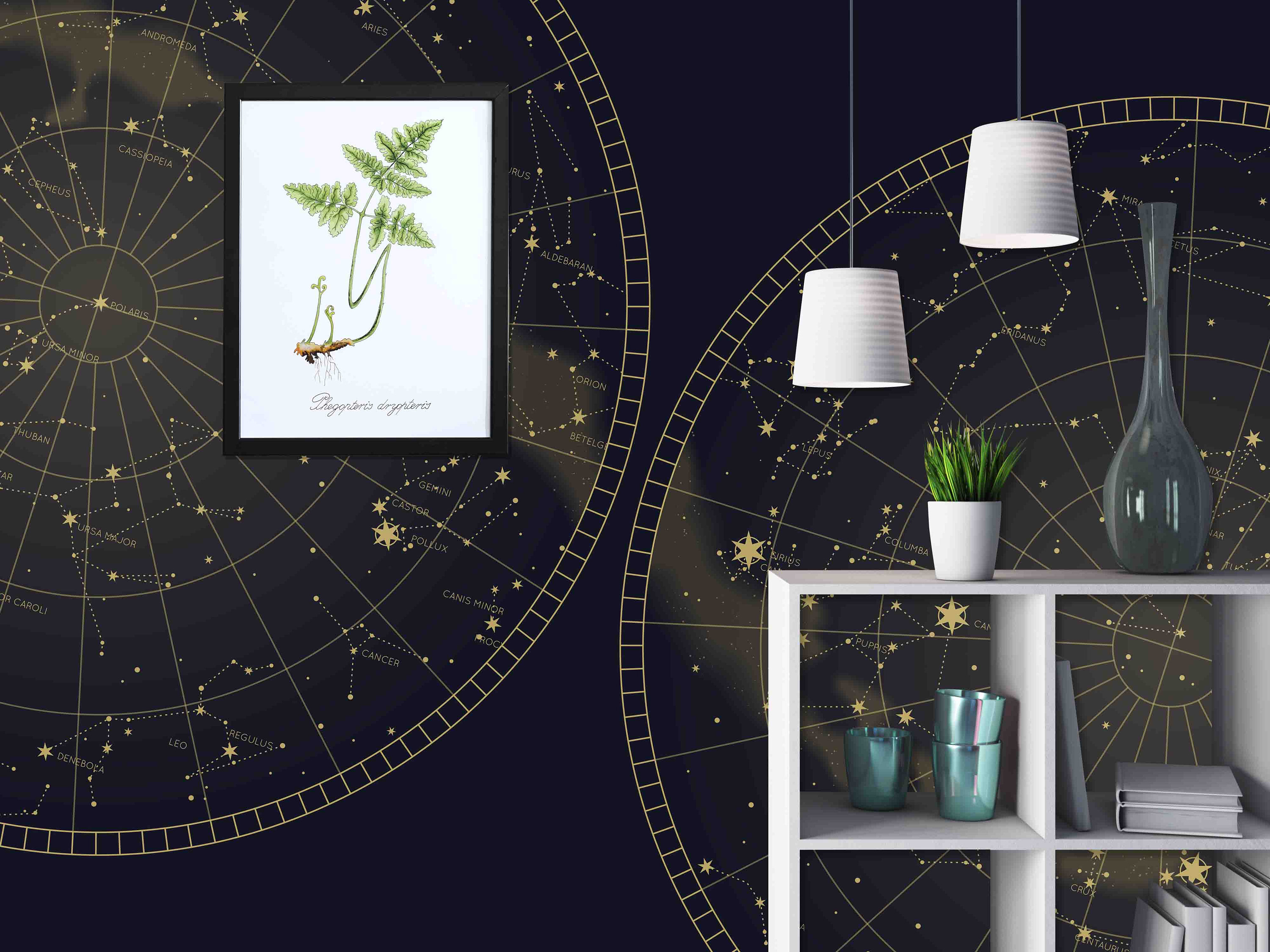Custom Size Wallpaper Star Constellations Southern and Northern Map ...