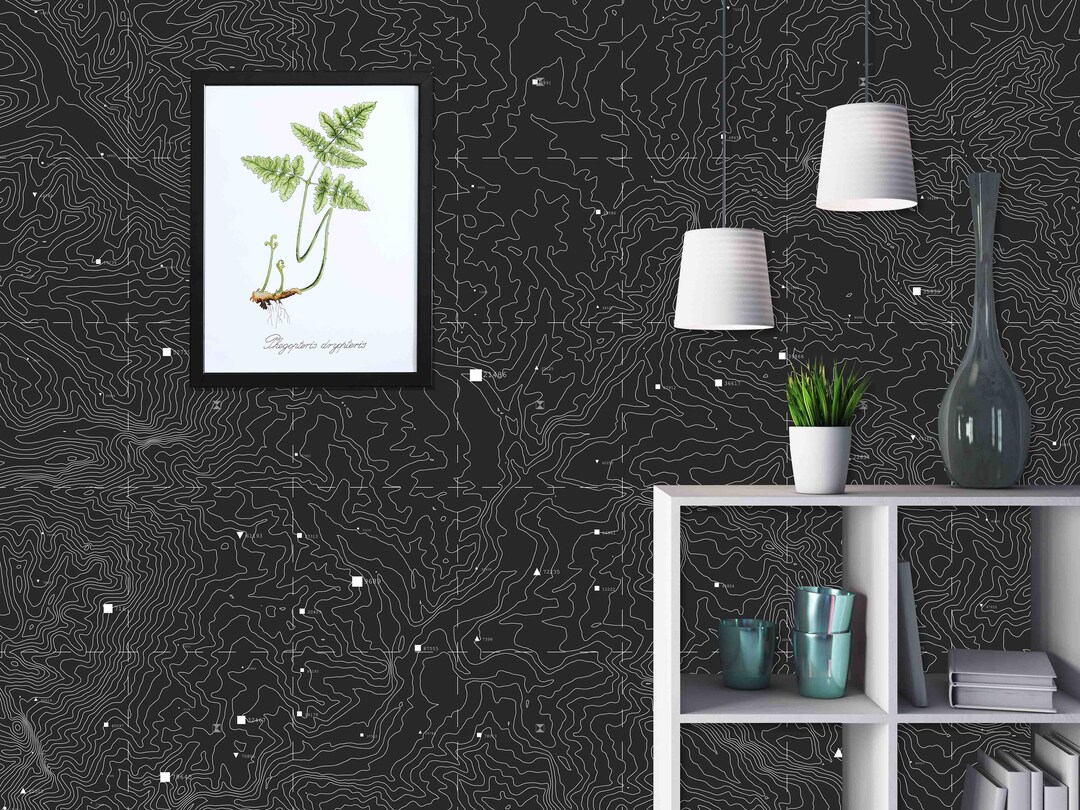 Custom Size Wallpaper - Dark Topographic Map Wallpaper - Peel and Stick Wall Decal - Self ...