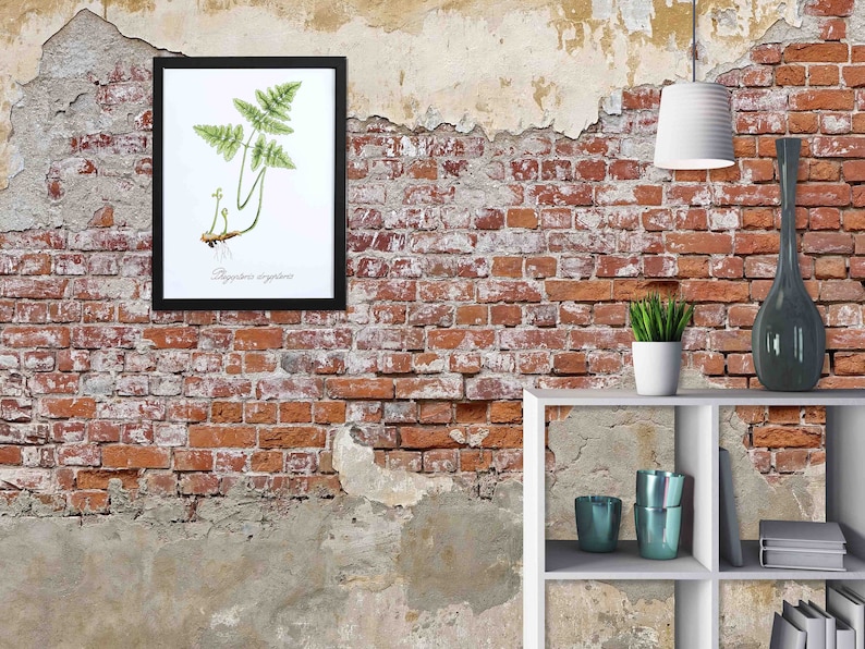 Custom Brick Wall Mural: Peel and Stick Wallpaper - Removable Design - Etsy