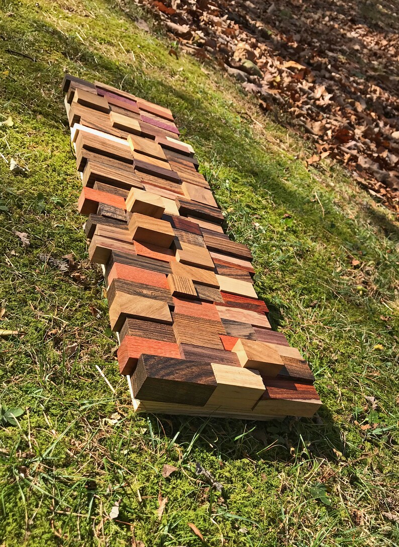 Exotic Wood Wall Art Décor, Wall Art Sculptural A 3D Mosaic of Exotic ...
