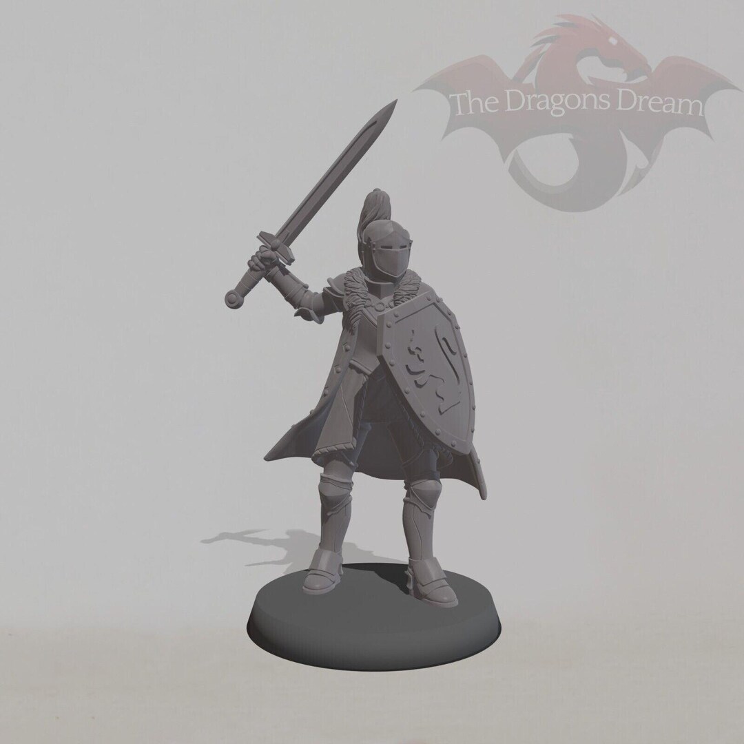 Female Knight - Heroquest Inspired, Dungeons and Dragons, 5e ...
