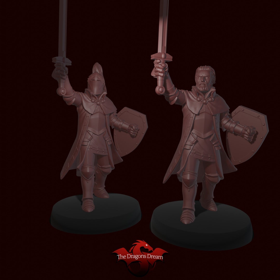 Male Knight Heroquest Inspired, Pathfinder, Tales of the Valient 28mm ...