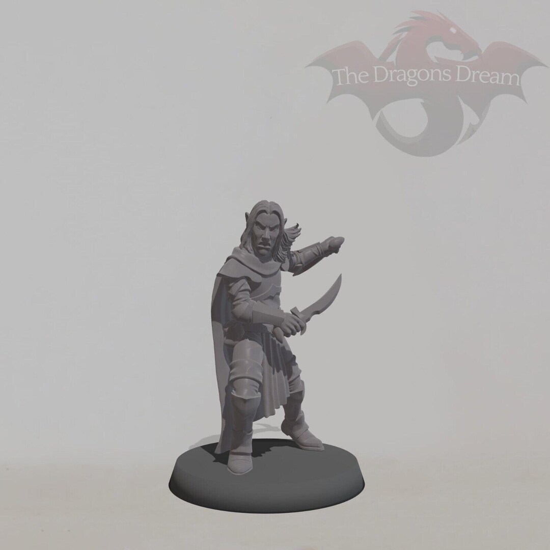 Elven Assassin - Heroquest, Dungeons and Dragons, 5e, Pathfinder ...