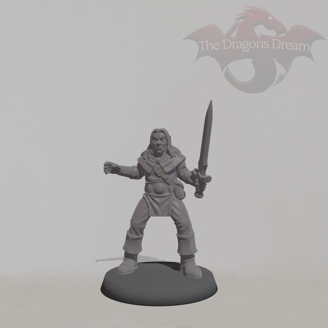 Elf - Fighter - Heroquest Inspired, Dungeons and Dragons, 5e ...