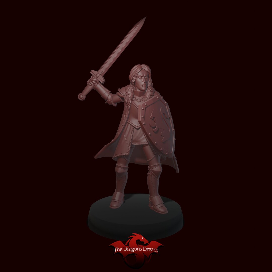 Female Knight Heroquest Inspired, Pathfinder, Tales of the Valient 28mm ...