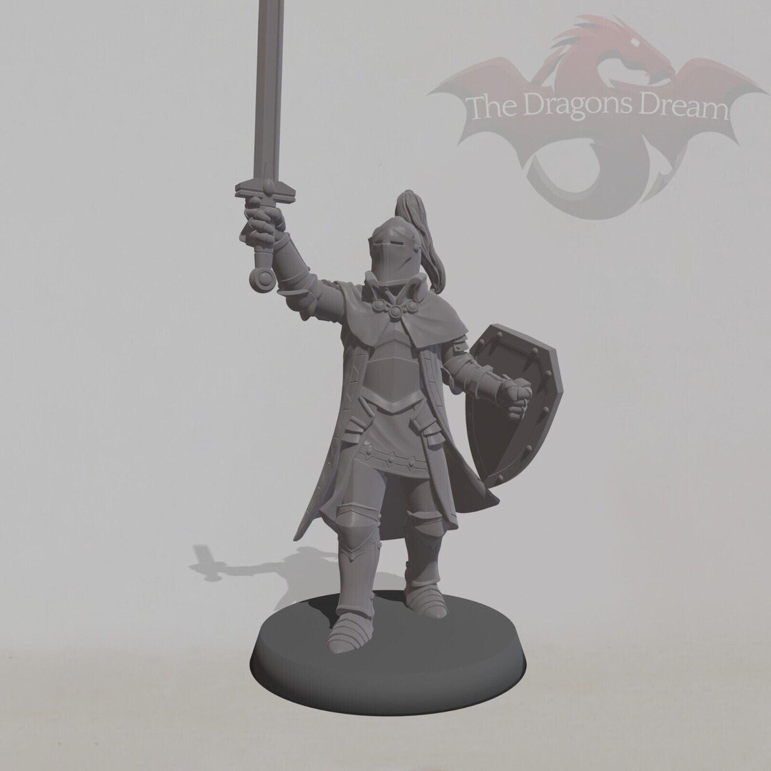 Male Knight - Heroquest Inspired, Dungeons and Dragons, 5e, Pathfinder ...