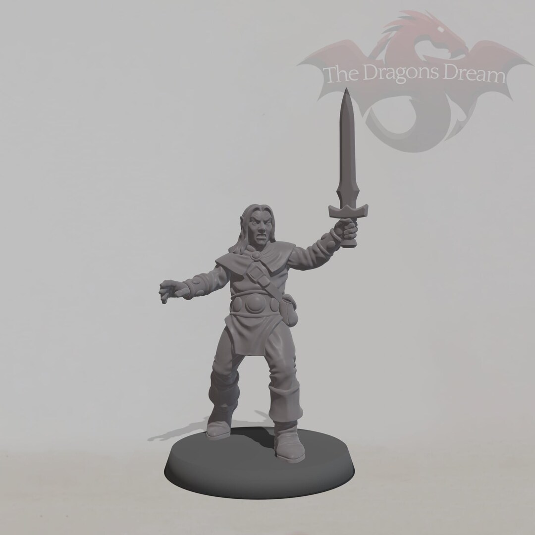 Elf - Fighter - Heroquest Inspired, Dungeons and Dragons, 5e ...
