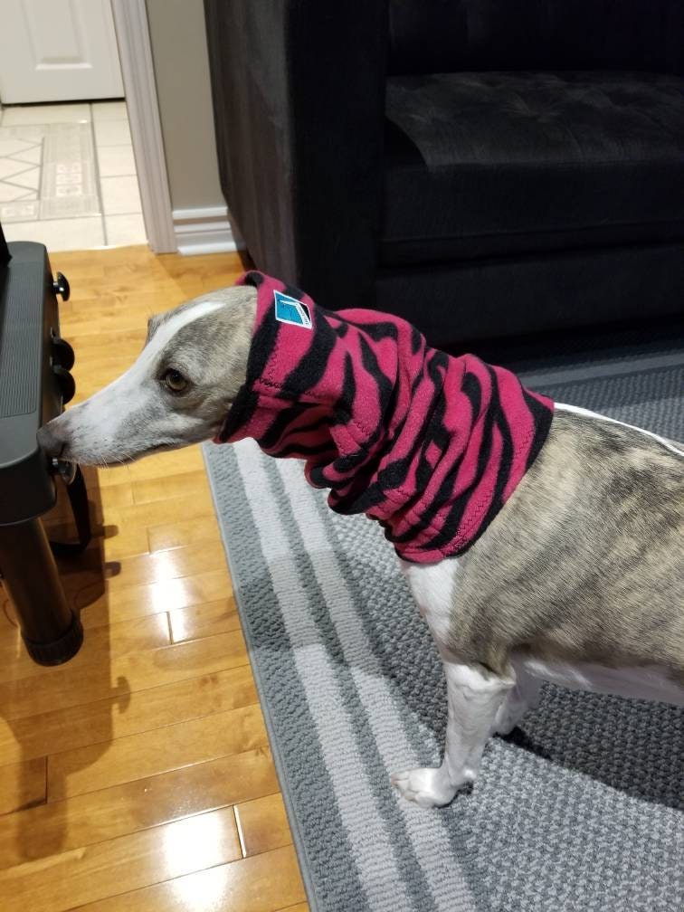 Whippet Snood, Pink Tiger Stripe Polar Fleece, Without Lead Hole - Etsy