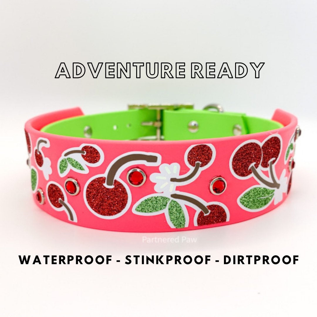 Biothane Bling Dog Collar | Cherry Bomb Dog Collar - Etsy