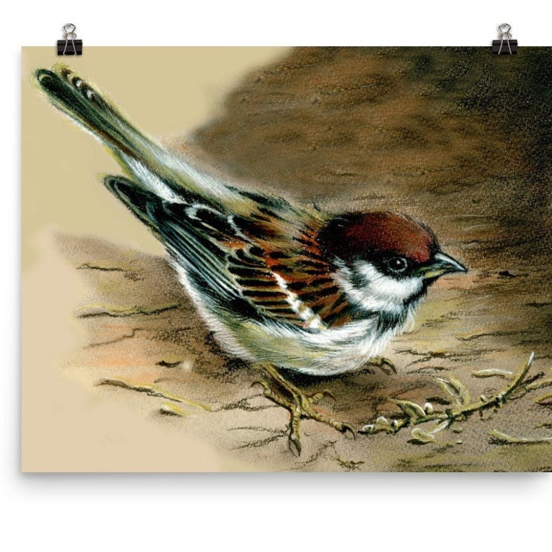 Sparrow Painting - Etsy