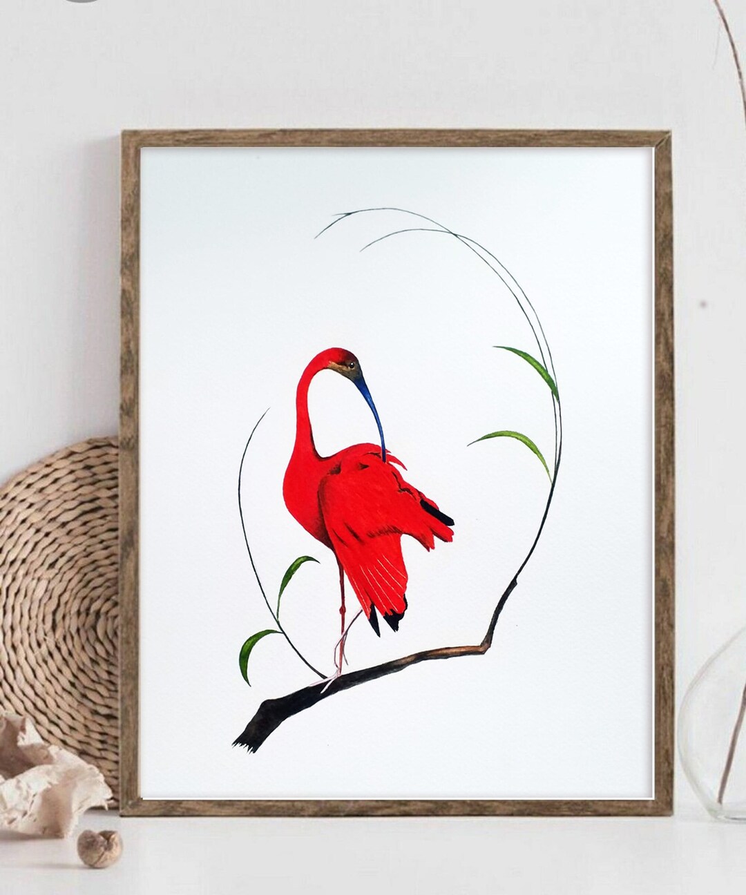 Ibis Painting Rot Bird Original Art Bird Artwork Exotic Bird Watercolor ...